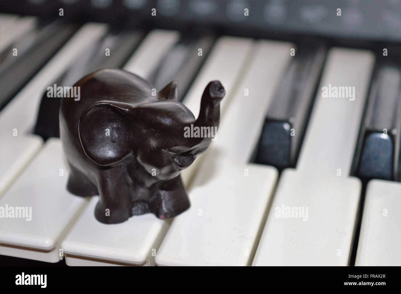 Elephant on Keyboard Stock Photo - Alamy