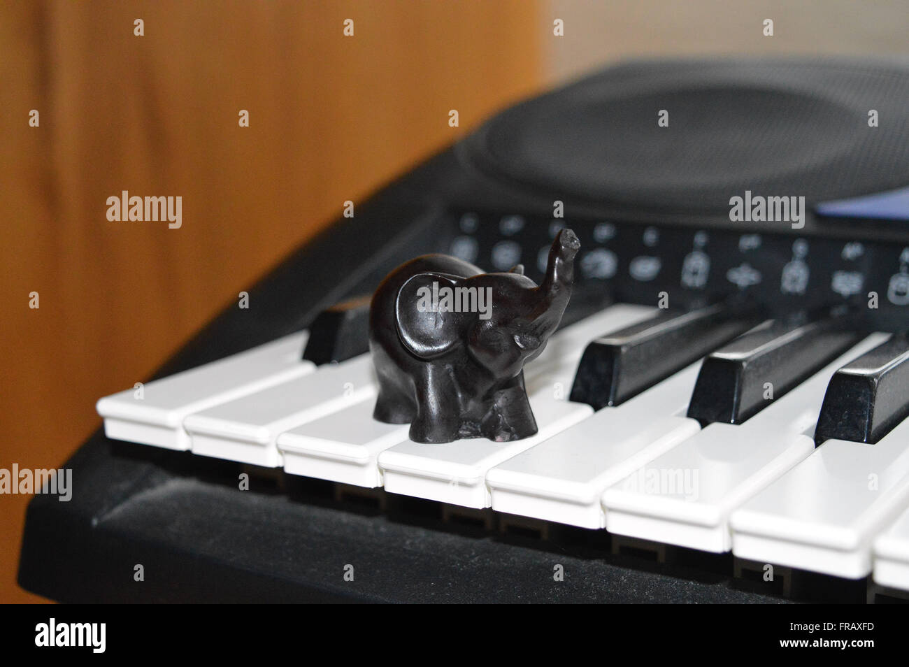 Elephant on Keyboard Stock Photo - Alamy
