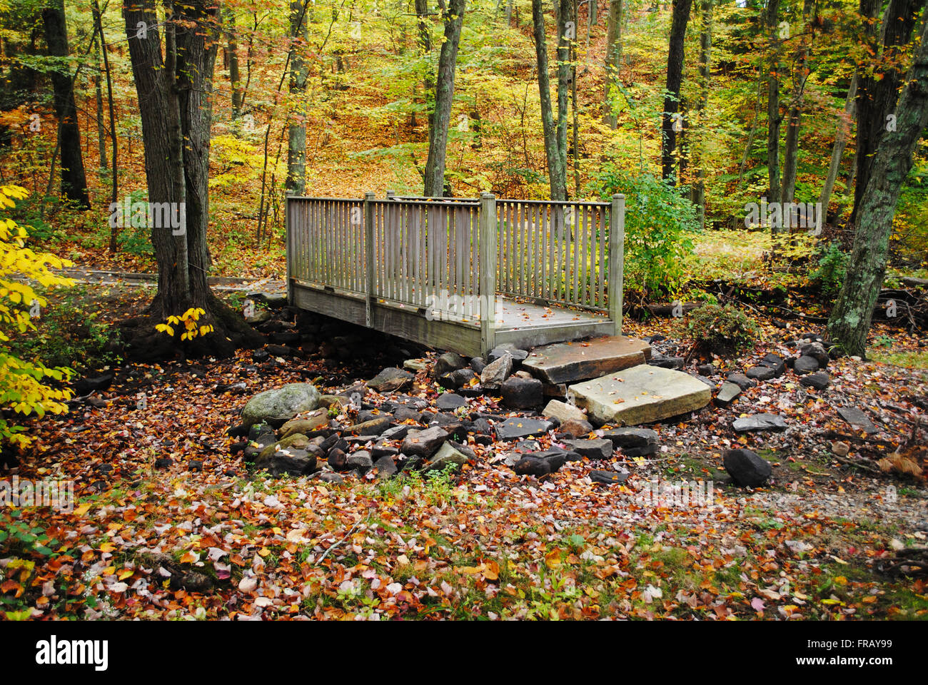 Red bridge with fall foliage hi-res stock photography and images - Alamy
