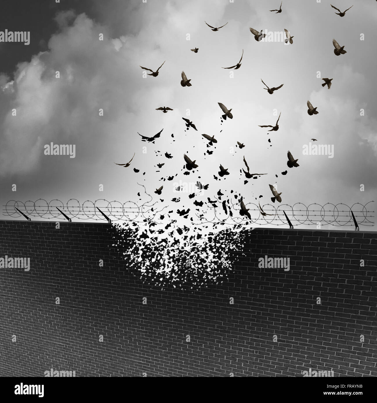 Breaking Barriers Photography