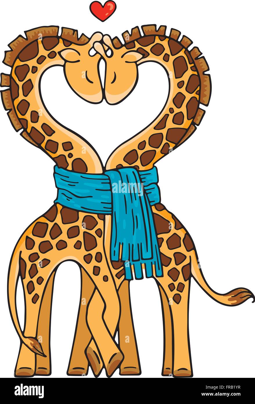 A pair of cute giraffes in love with a common scarf. Neck curved in the ...