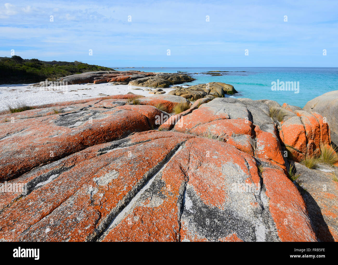 The Bay of Fire in Tasmania is made of orange lichen-covered granite ...