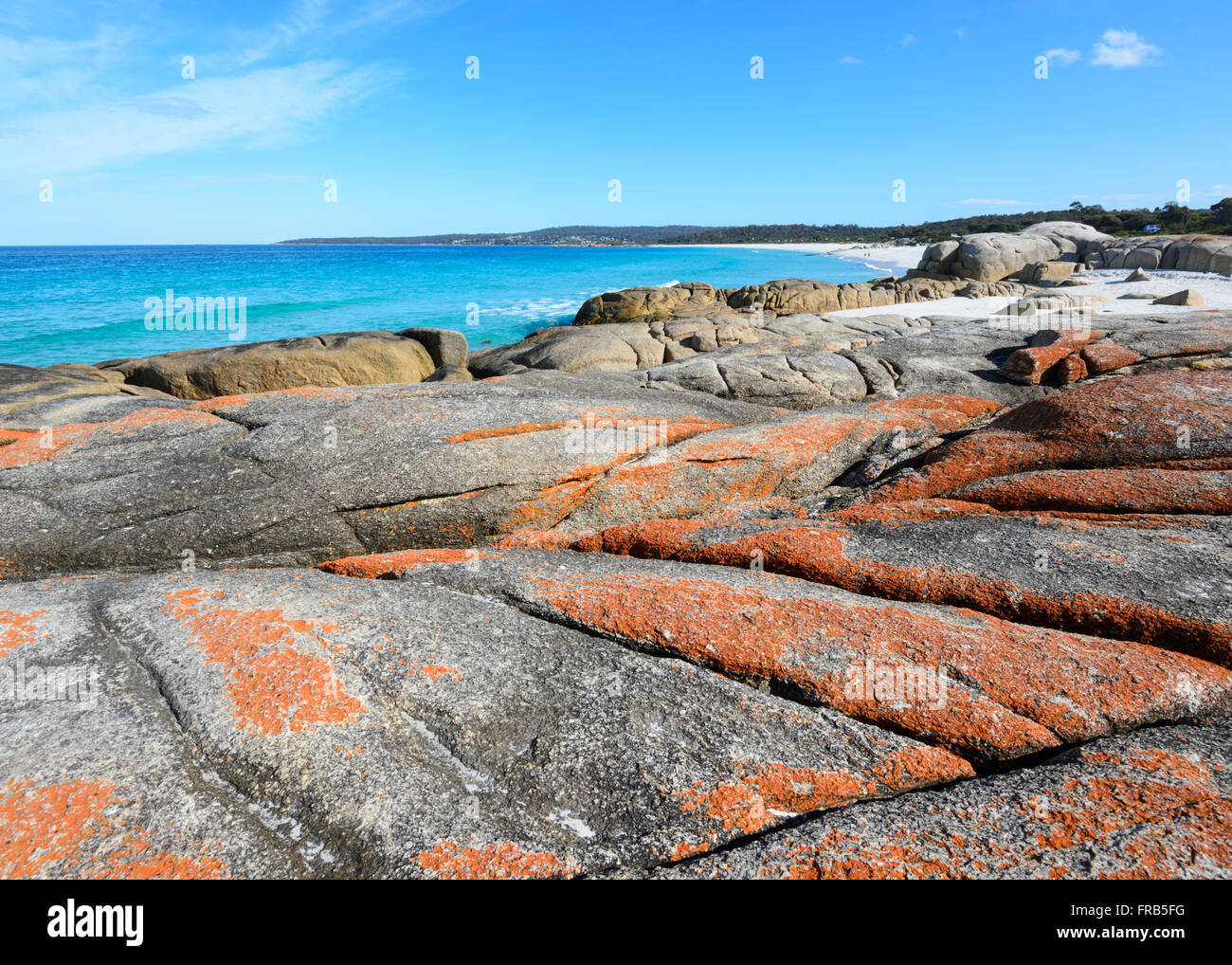 The Bay of Fire in Tasmania is made of orange lichen-covered granite ...
