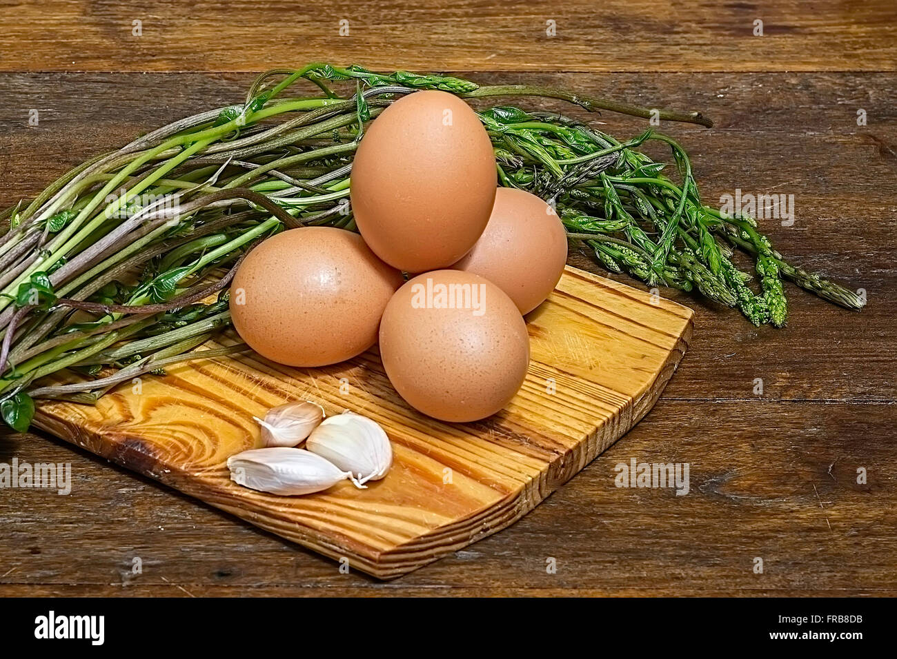 Acutifolius hi-res stock photography and images - Alamy