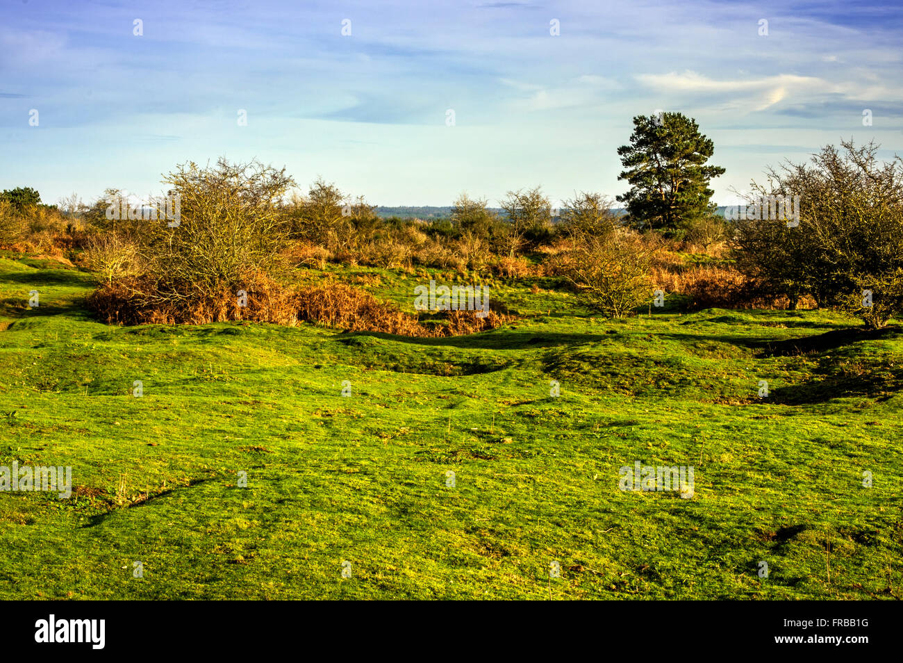 Breckland hi-res stock photography and images - Alamy