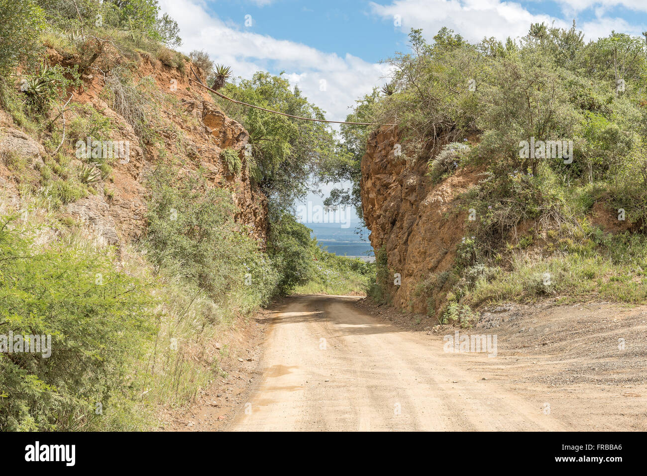 Narrow dirt road cutting hi-res stock photography and images - Alamy