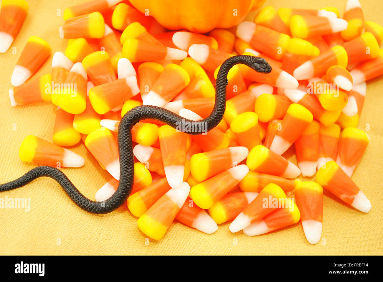 A BLack Toy Snake on Tasty Candy Corn Stock Photo - Alamy