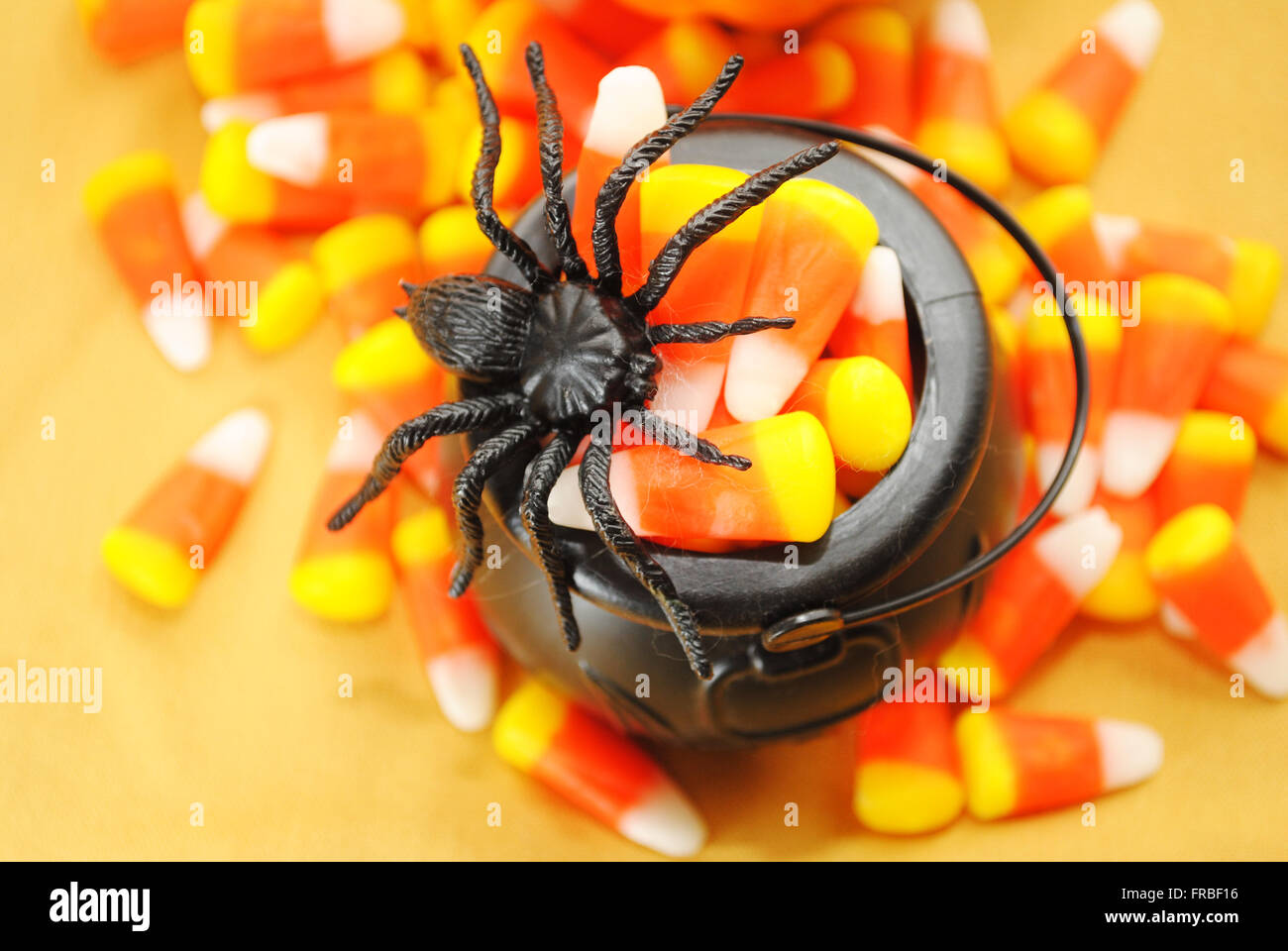 Corn spider hi-res stock photography and images - Alamy