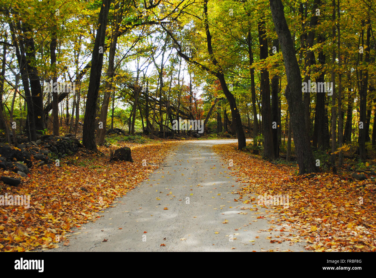 Fall Foliage on a Country Dirt Road Stock Photo - Alamy