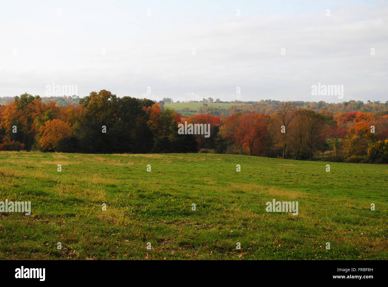 Grassy Country Field with Fall Foliage in the Distance Stock Photo - Alamy