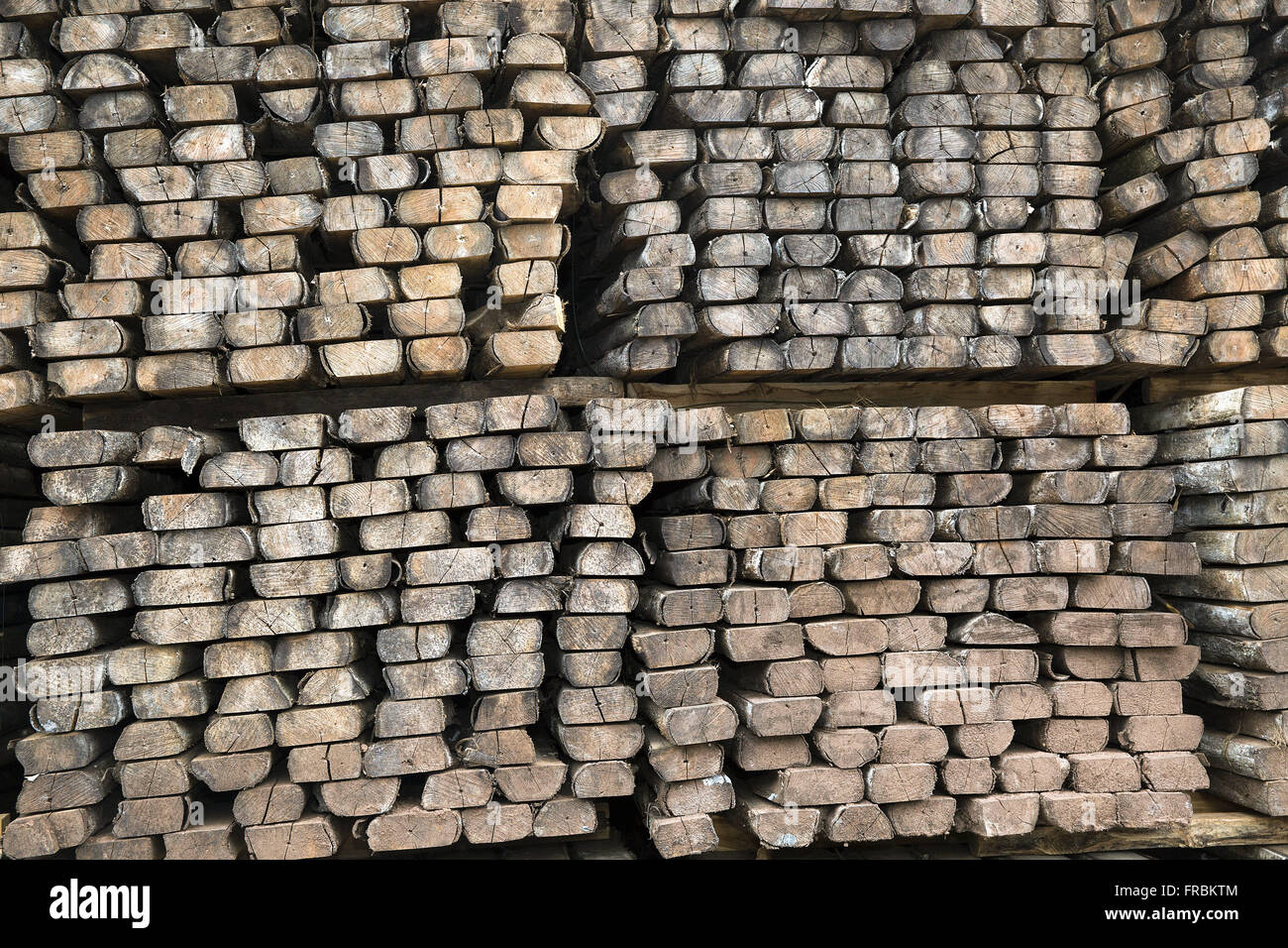 Teak wood tree hi-res stock photography and images - Alamy