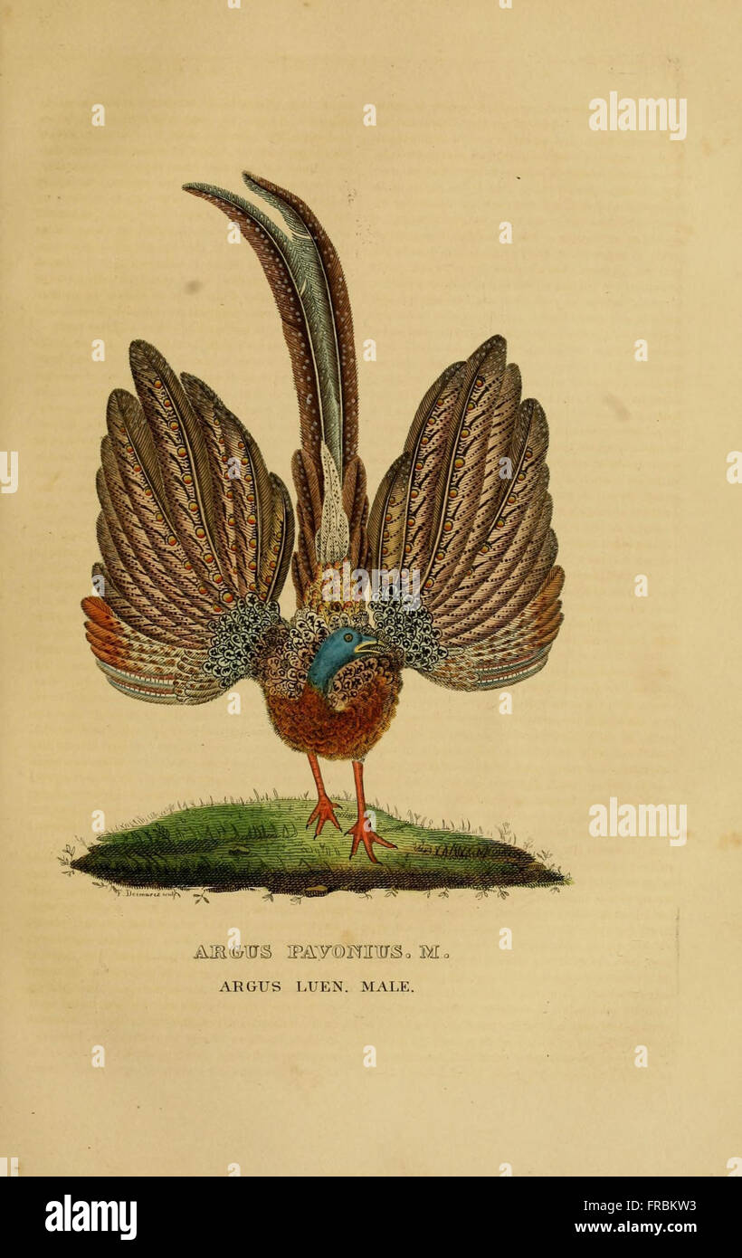 This dictionary offers a classical definition and explanation of ...