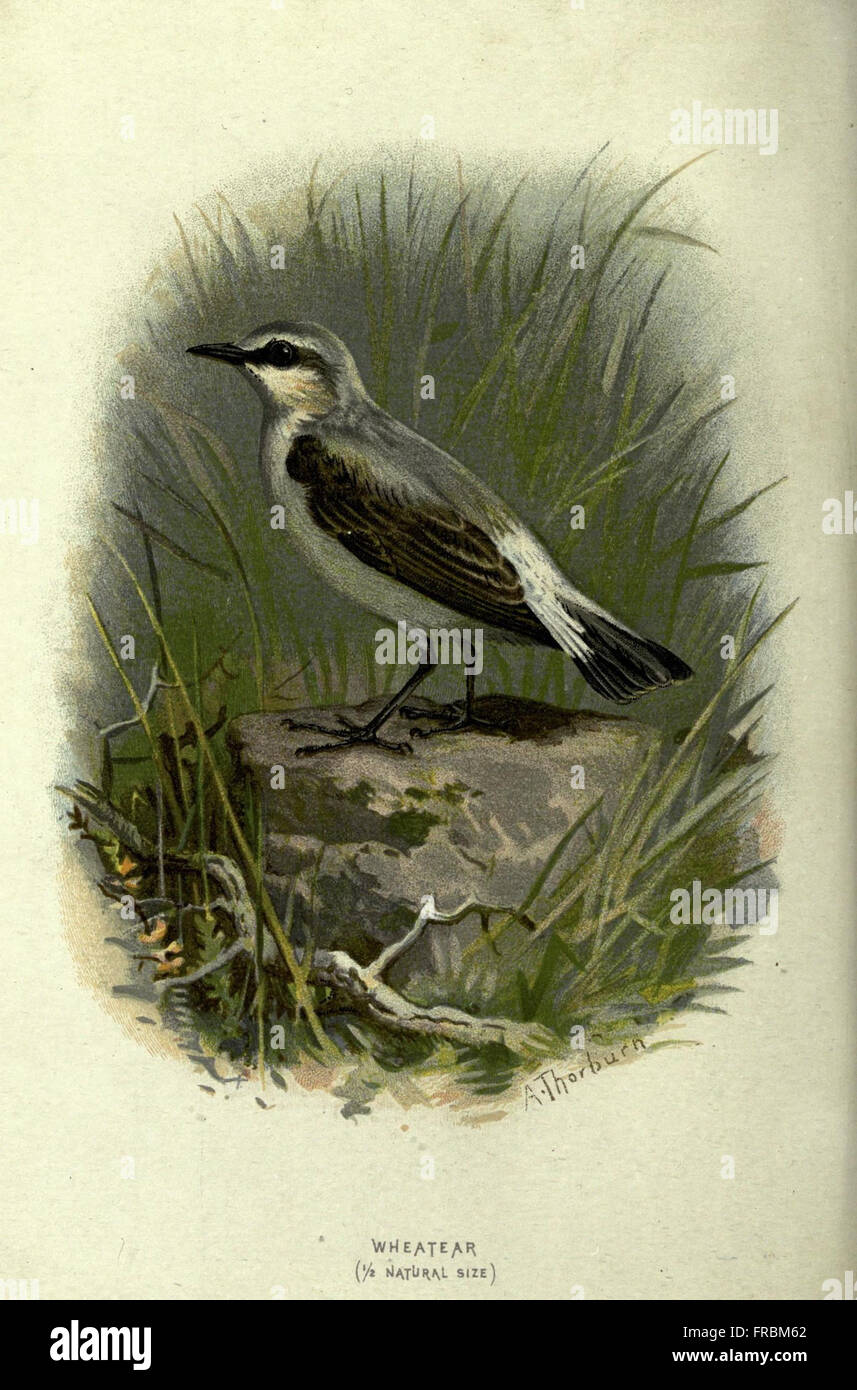 This publication provides illustrations and descriptions of various ...