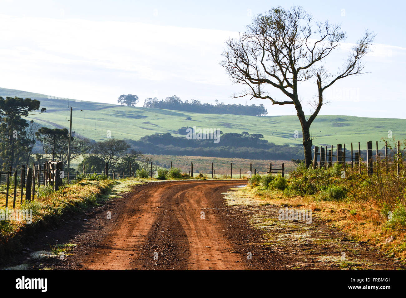 Curve dirt road in field in rural coxilhas Stock Photo - Alamy