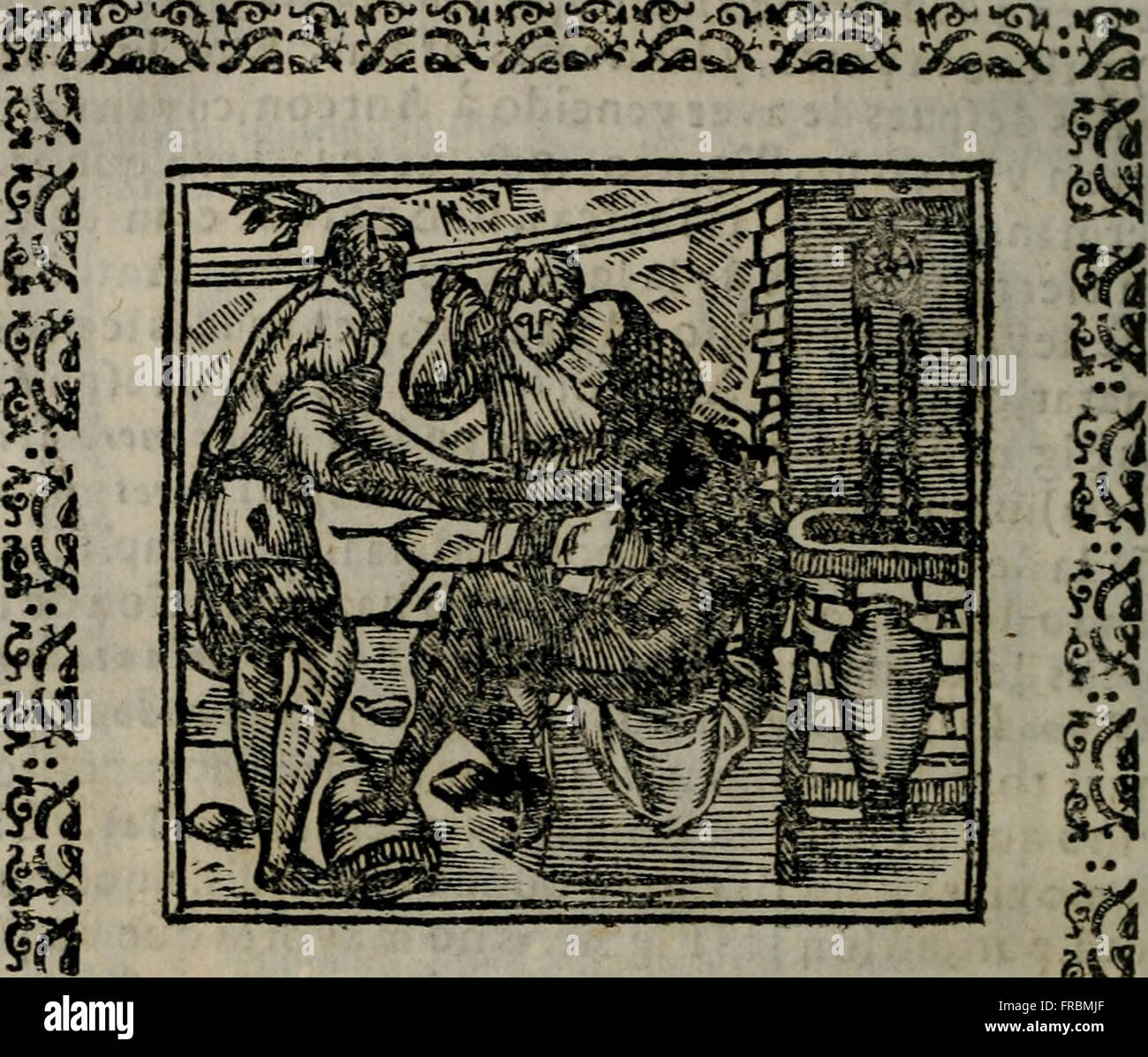 This work is a detailed exploration of the emblems created by Andreas ...