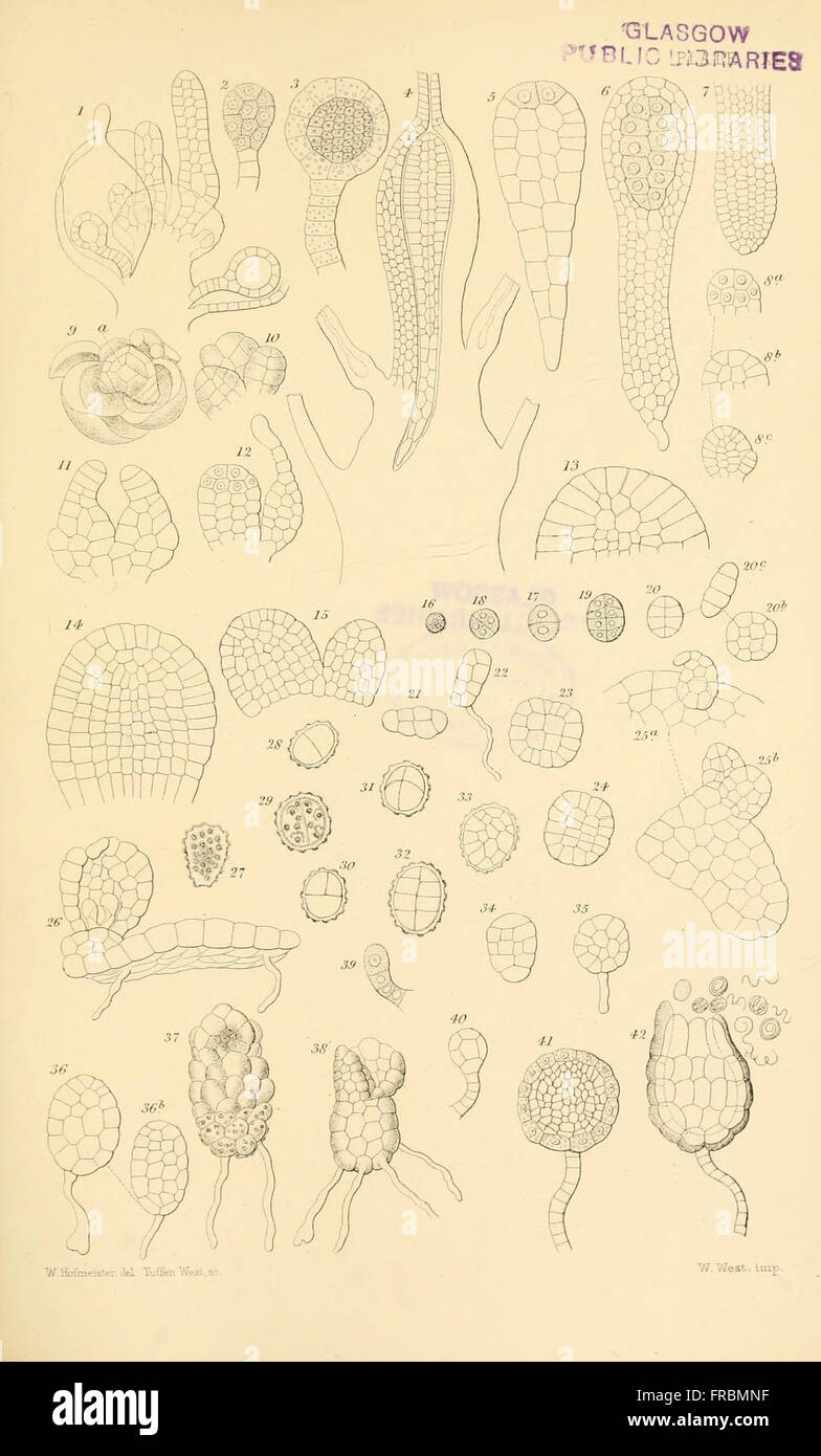 This work discusses the germination, development, and reproduction ...