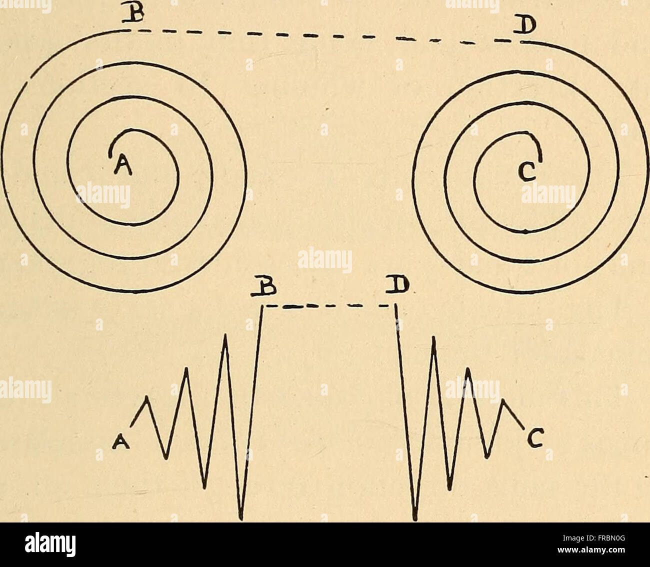 This guide provides detailed instructions on creating, using, and ...