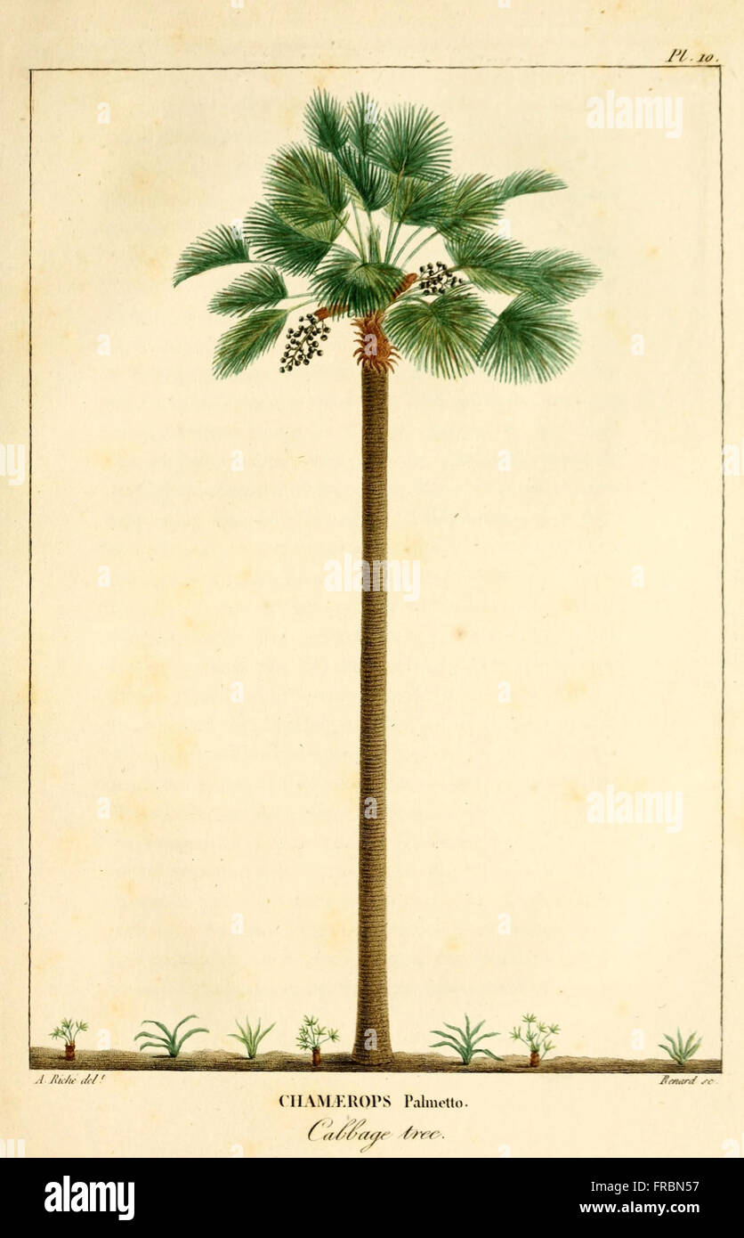 This work details the history and classification of the forest trees of ...