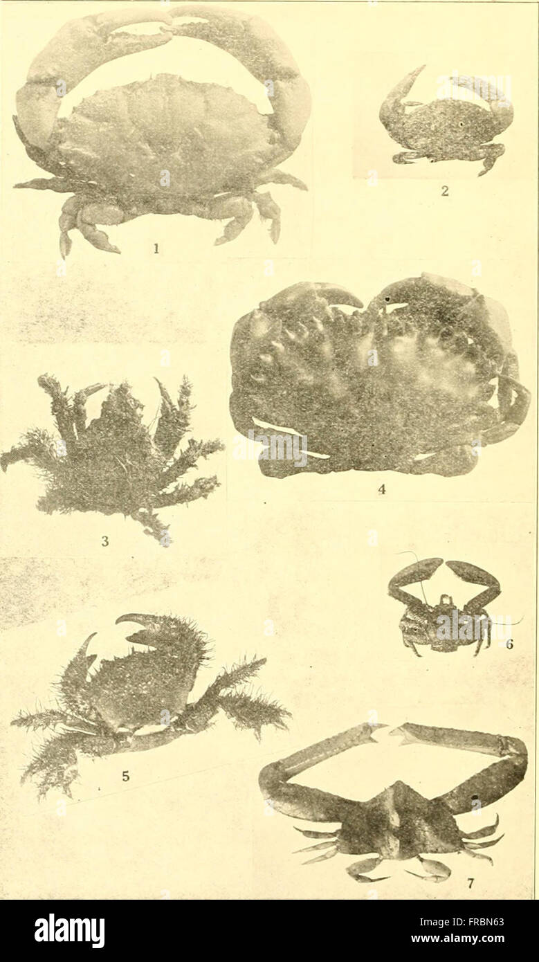 The Journal of Entomology and Zoology (1916) publishes research on the ...