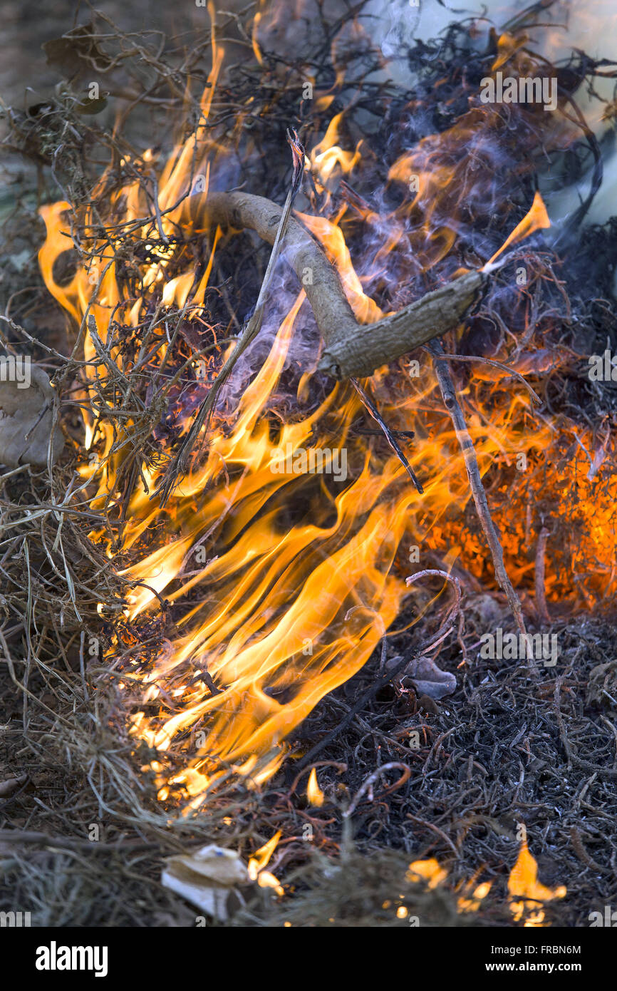 Queimada hi-res stock photography and images - Alamy