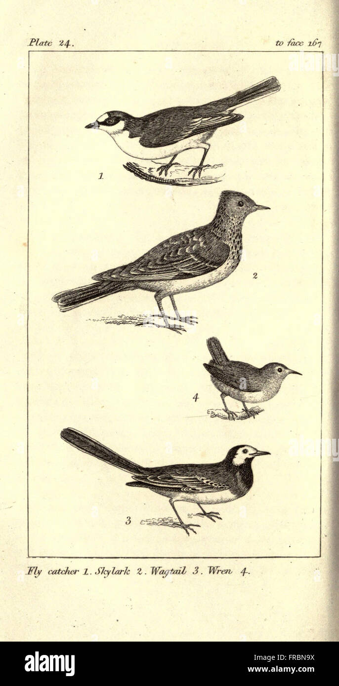 'Natural History of Animals' provides visual and textual information on ...