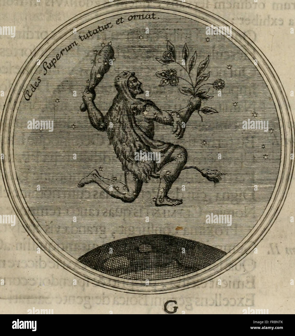 This historical work, 'Ortus Castoris Ratibus Propitius,' presents a ...