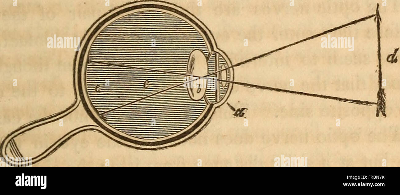 Outlines of Human Physiology, published in 1834, serves as an ...