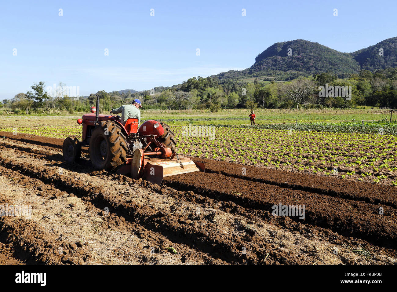 Tractor preparing beds for planting in the countryside Stock Photo - Alamy