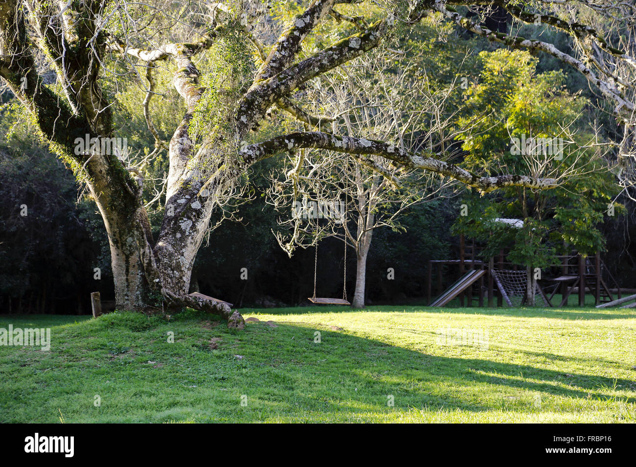 Balance sheet made of chains from tree branches Stock Photo - Alamy