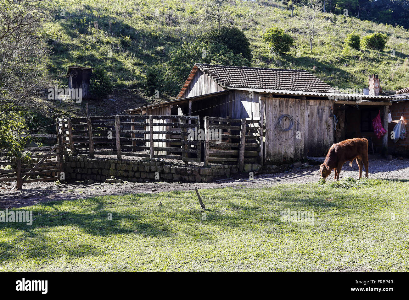 Property in rural area of Italian colonization Stock Photo - Alamy