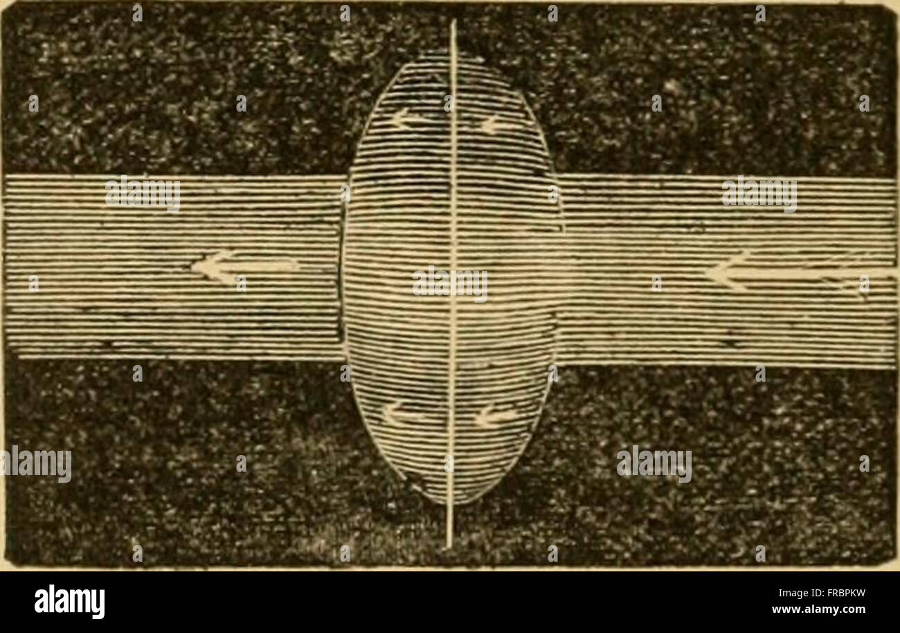 'The Mosaic Account of Creation' explores the relationship between the ...