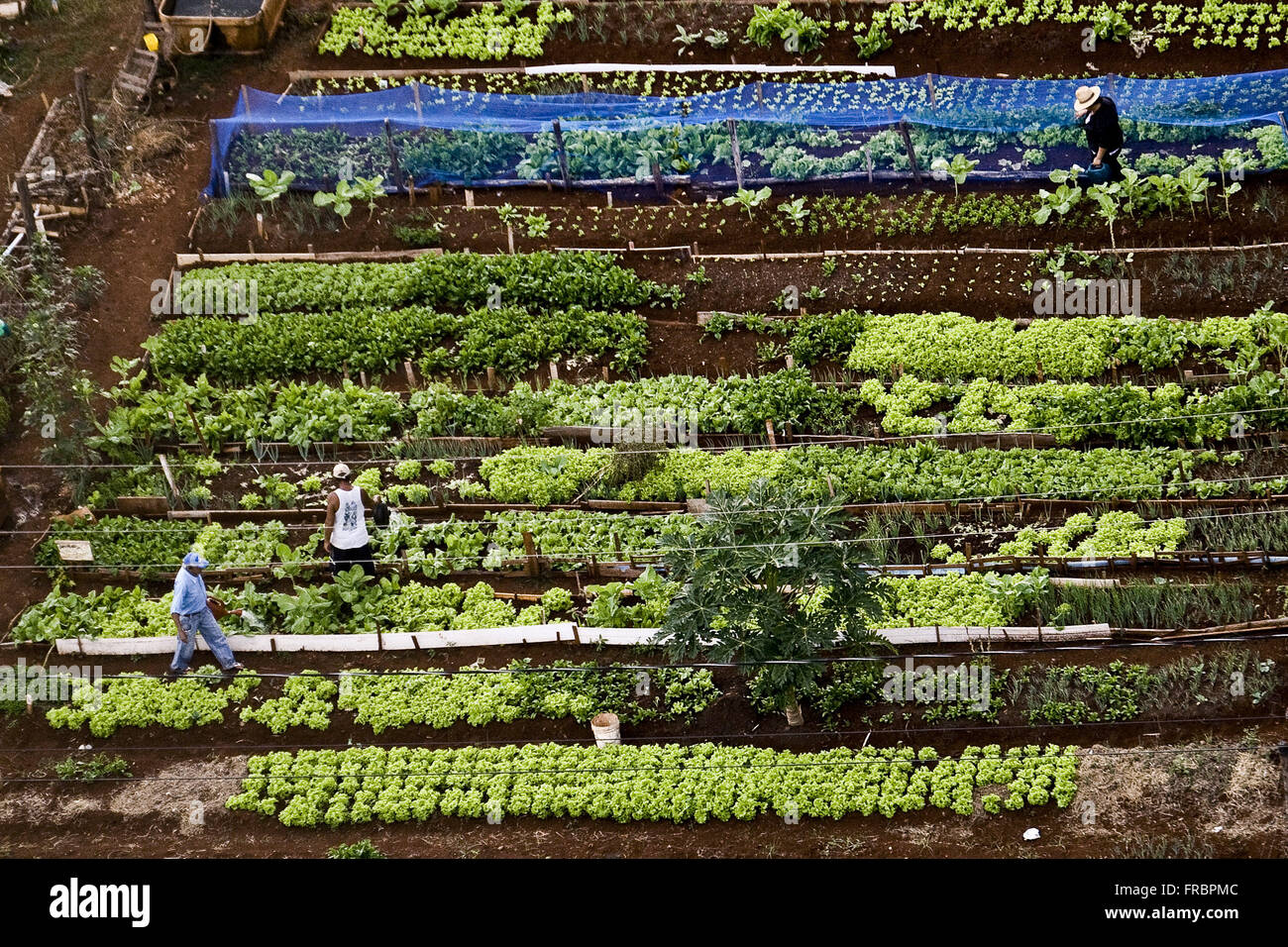 Rural and urban areas hi-res stock photography and images - Alamy