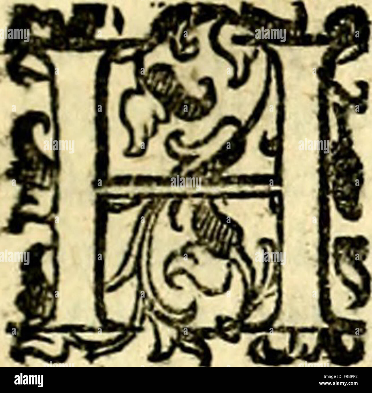 Le imagini de gli dei de gli antichi (1609 Stock Photo - Alamy