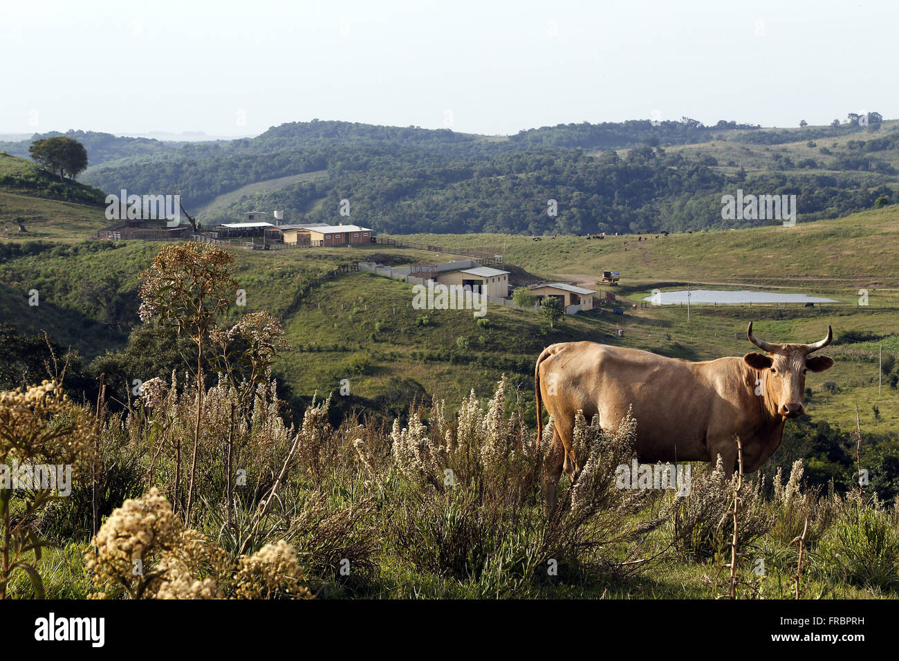 Rural farm background hi-res stock photography and images - Alamy