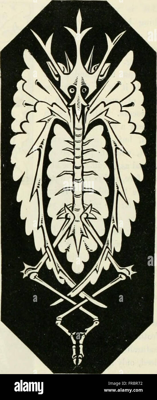 'Principles of Decorative Design' (1870) presents the foundational ...