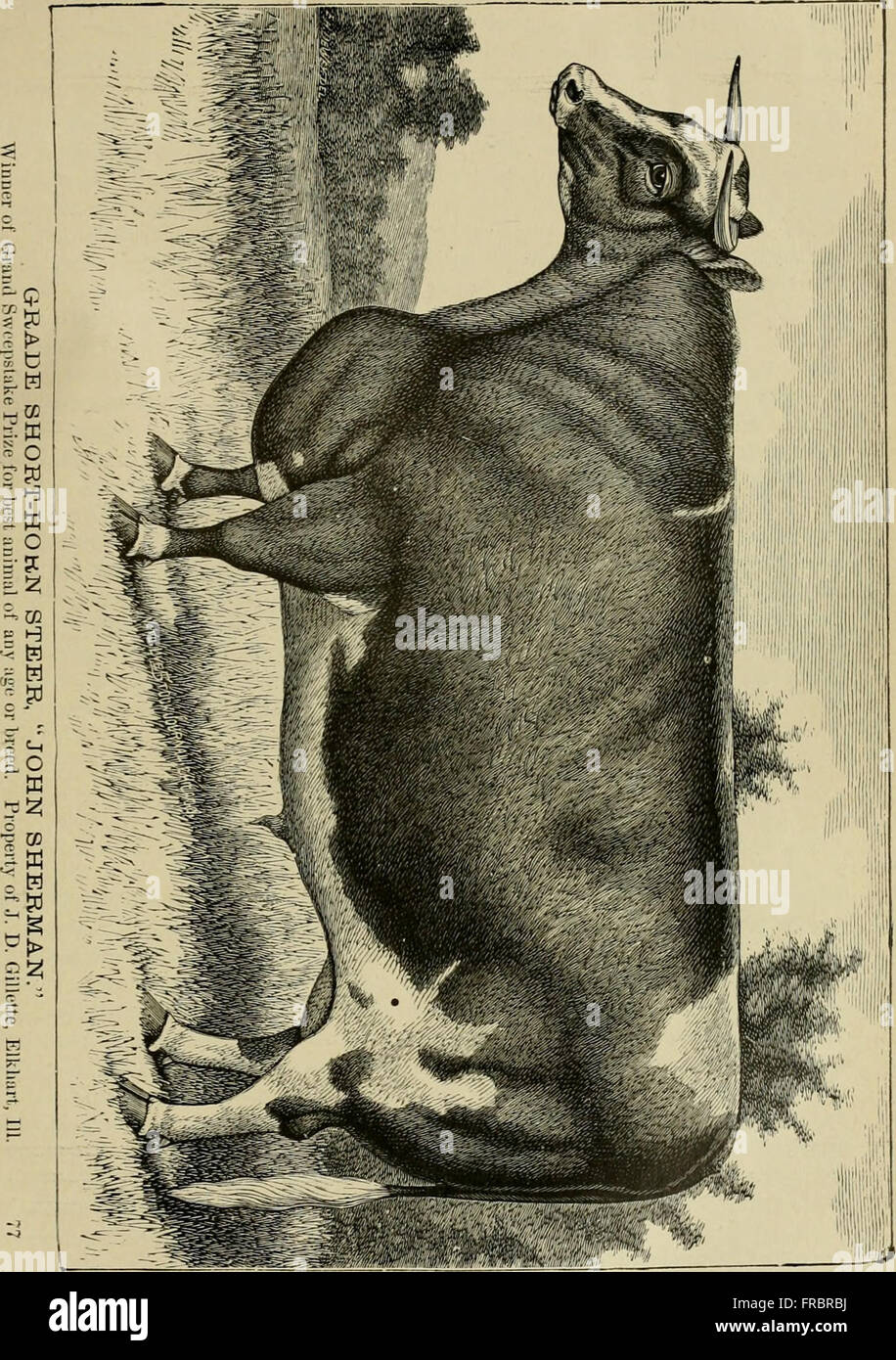 The American farmer. A complete agricultural library, with useful facts ...