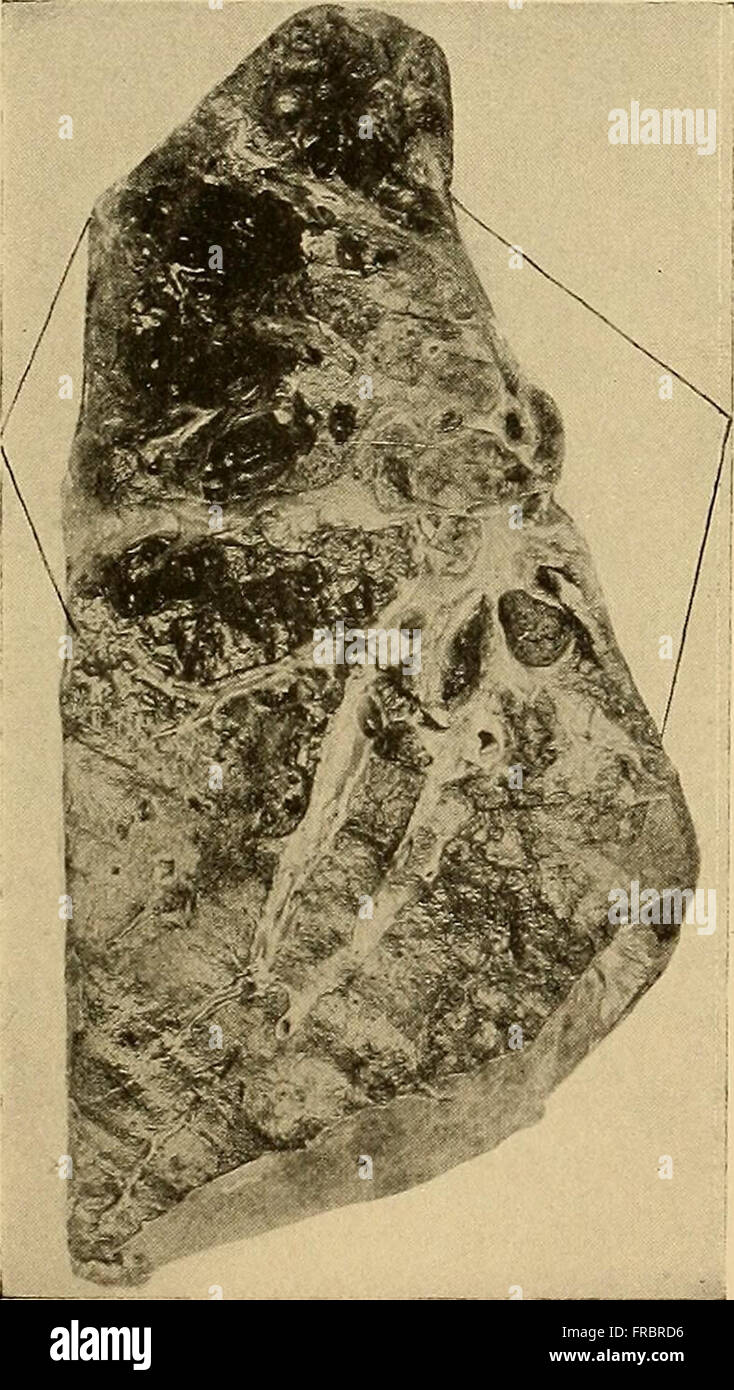 Comprehensive medical examination analysis hi-res stock photography and ...