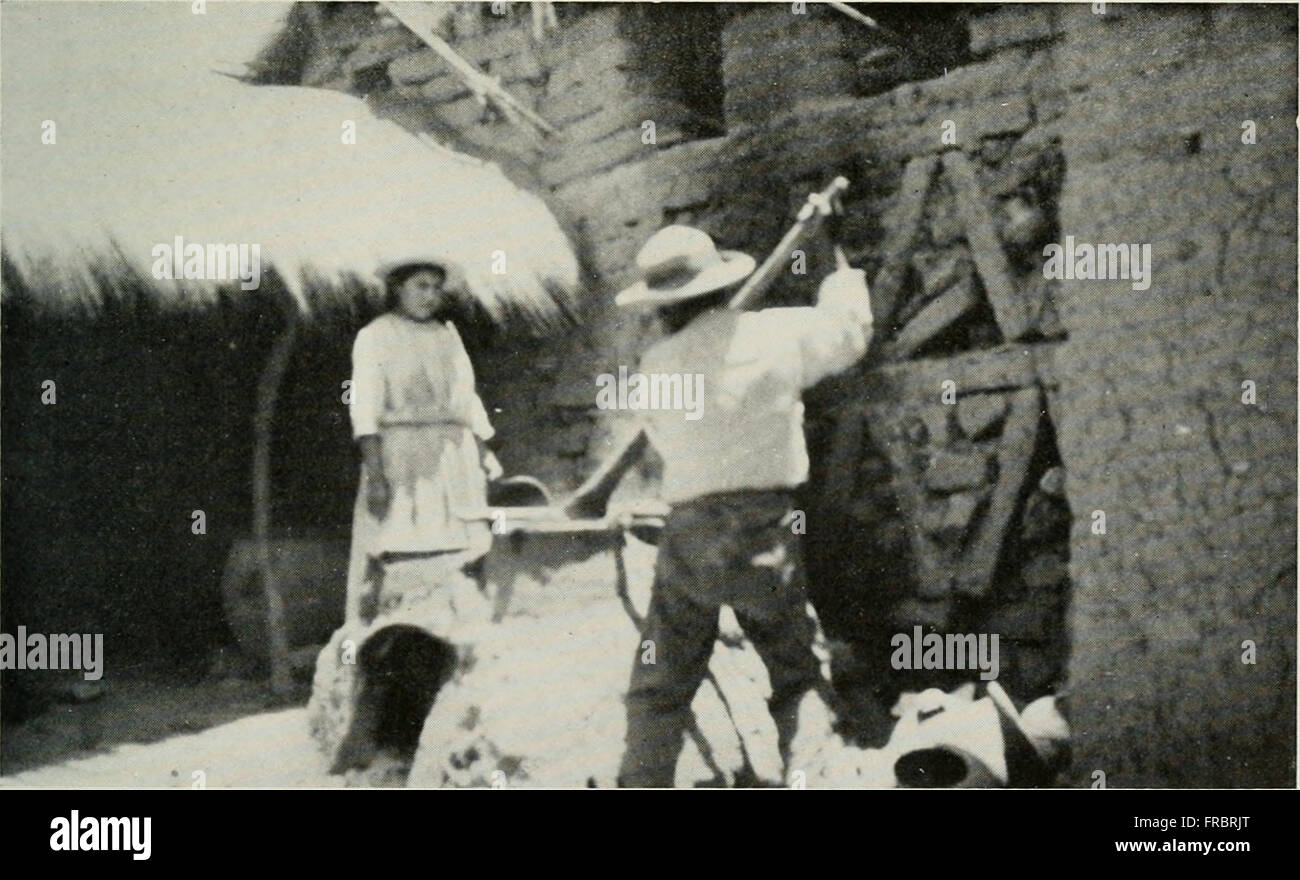 A publication from the American Museum featuring scientific articles ...