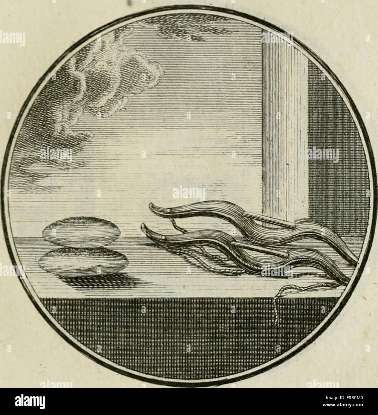 *Regula Emblematica Sancti Benedicti* (1783) presents the emblematic ...
