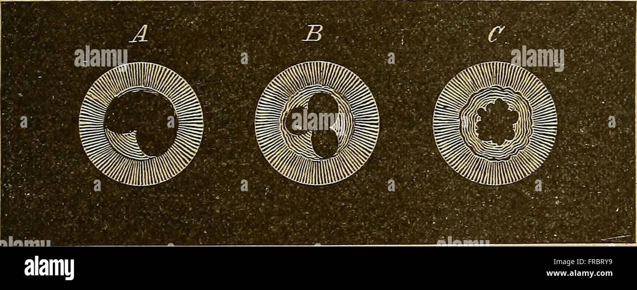 'Manual of Ophthalmology' (1917) is a medical reference for the ...