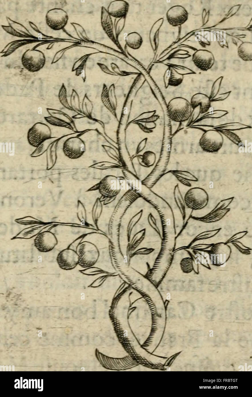 This 1621 work presents heroic devices and emblems, illustrating ...