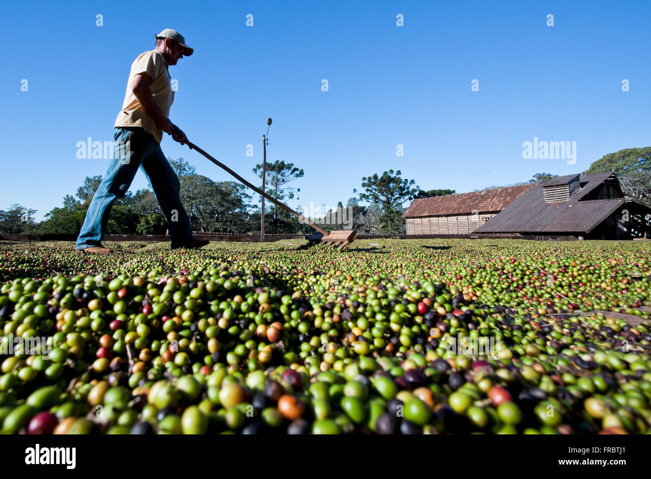 American farm yard hi-res stock photography and images - Alamy
