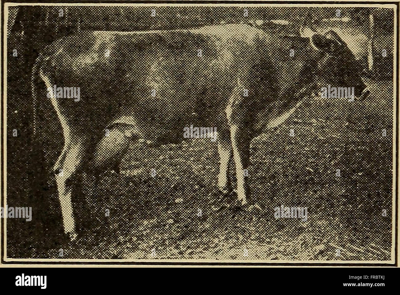 This 1919 textbook covers the basics of human physiology while ...
