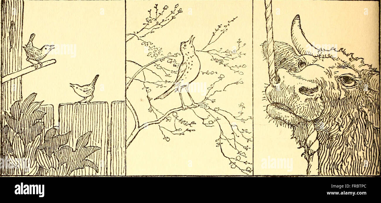 The Boyd Smith Mother Goose (1920 Stock Photo - Alamy