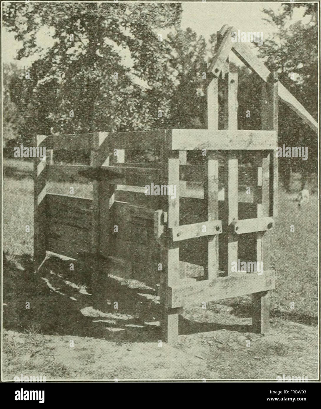 This 1918 guide provides methods for dehorning and castrating cattle ...