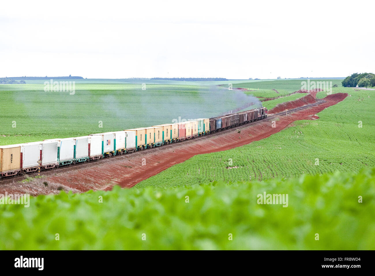 Freight train on railroad through the soybean plantation in the ...