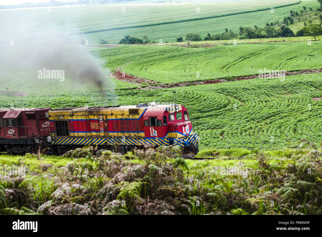 Plantation railway hi-res stock photography and images - Alamy