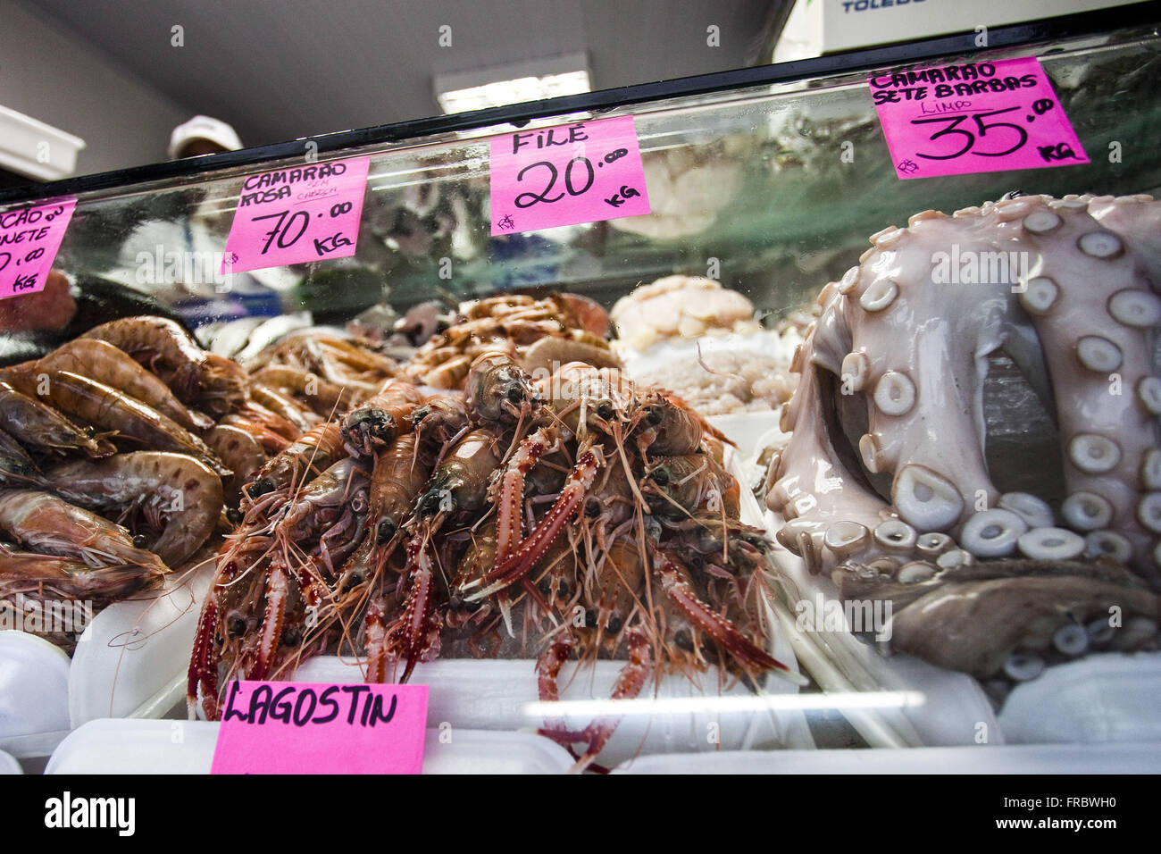 Seven animals hi-res stock photography and images - Alamy