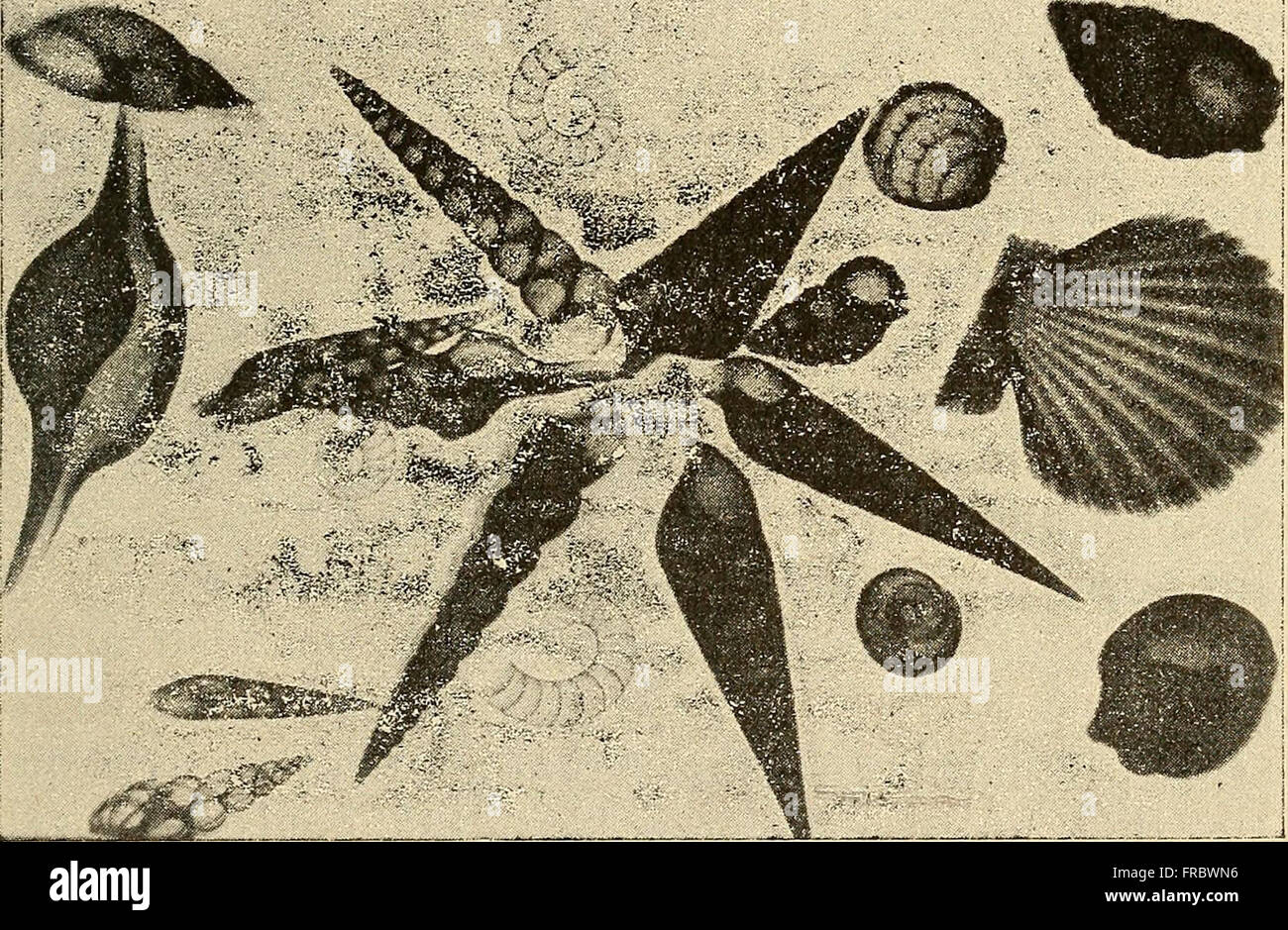 A 1900 manual on radioscopy and radiography using X-rays, offering ...