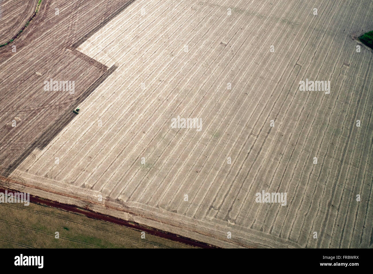 Aerial view of corn planting Stock Photo - Alamy